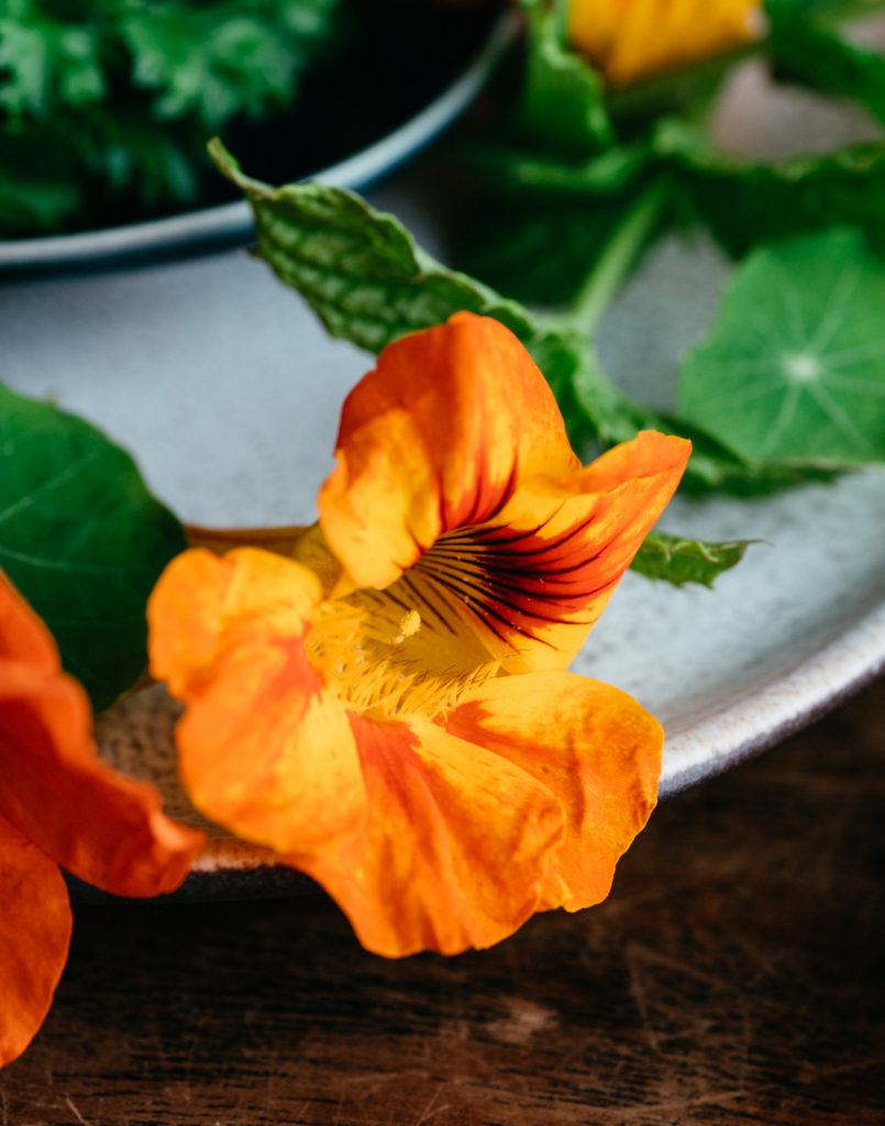 COURGETTE RIBBON SALAD W/ HERBS + NASTURTIUMS - Good Eatings