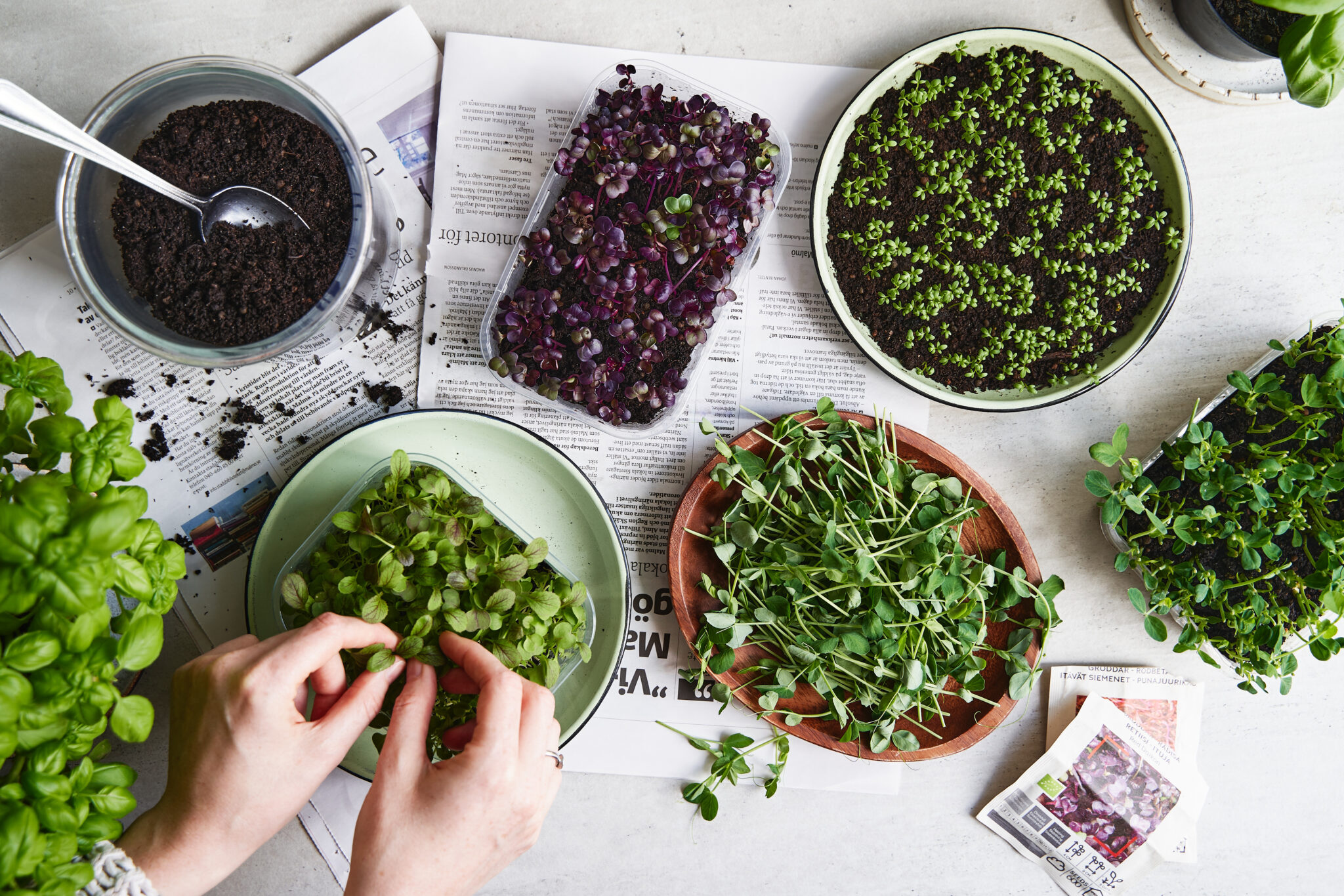 6 Steps to Delicious and Satisfying Salads - Good Eatings